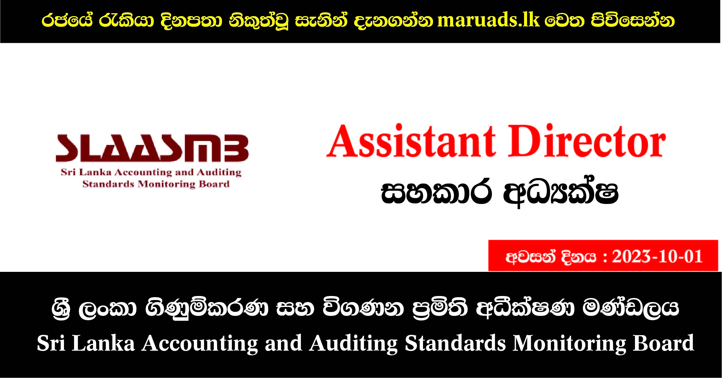 Assistant Director - Sri Lanka Accounting and Auditing Standards Monitoring Board