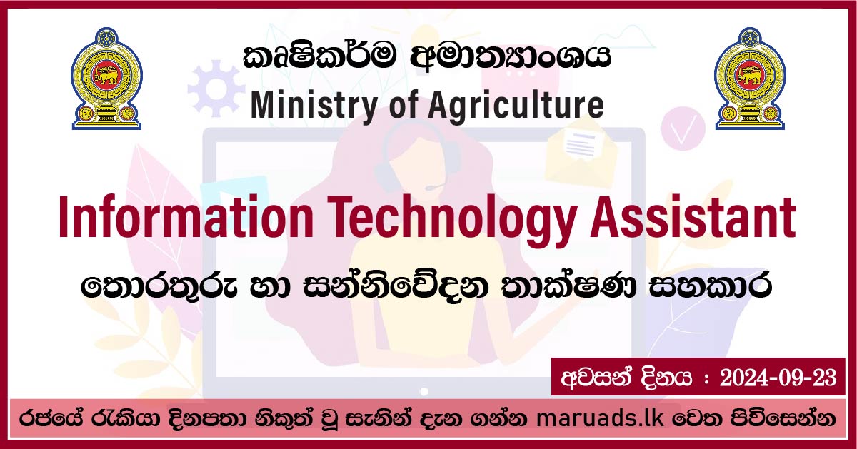 ICT Assistant - Ministry of Agriculture
