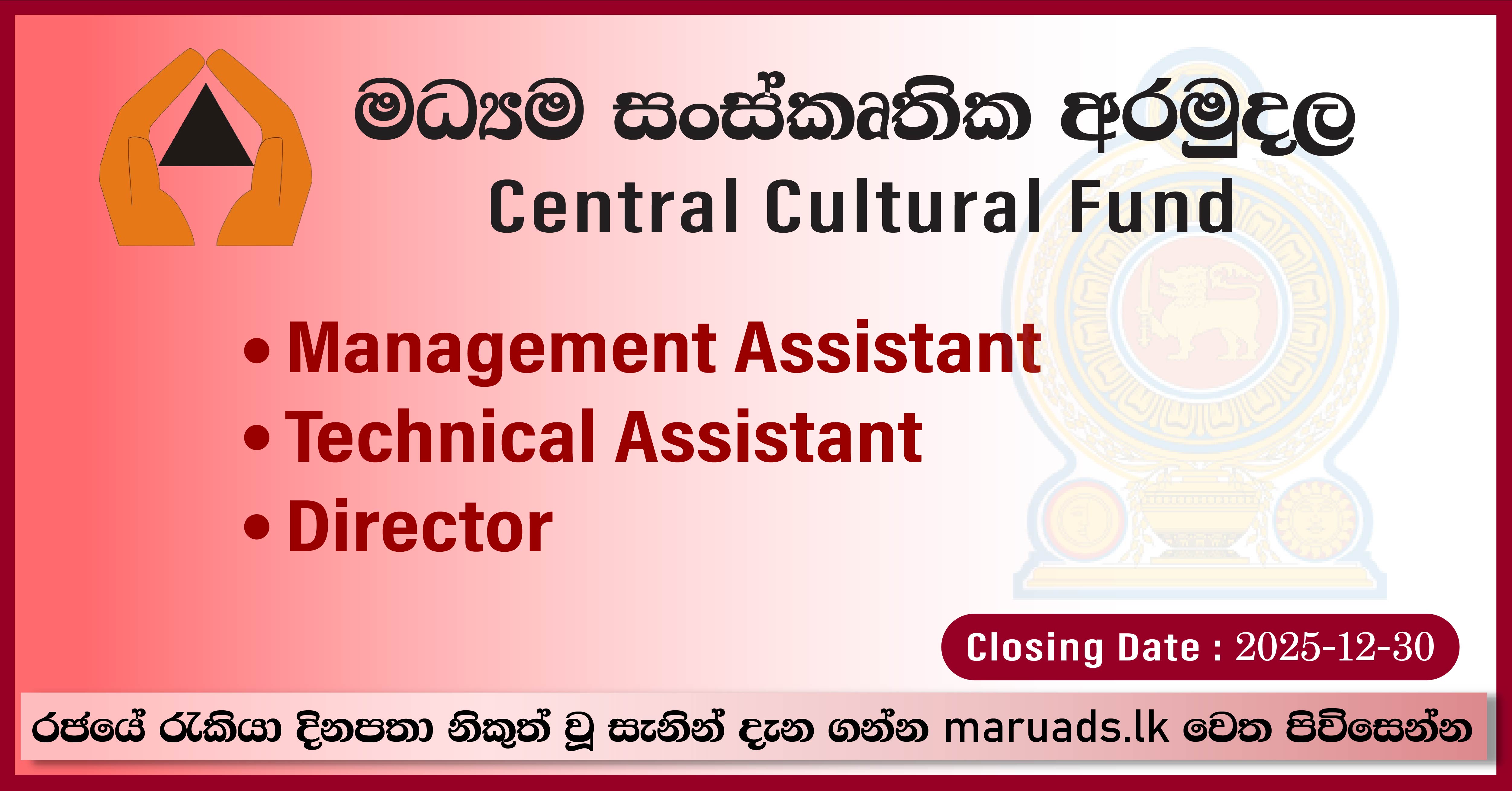 Management Assistant, Technical Assistant, Director - Central Cultural Fund