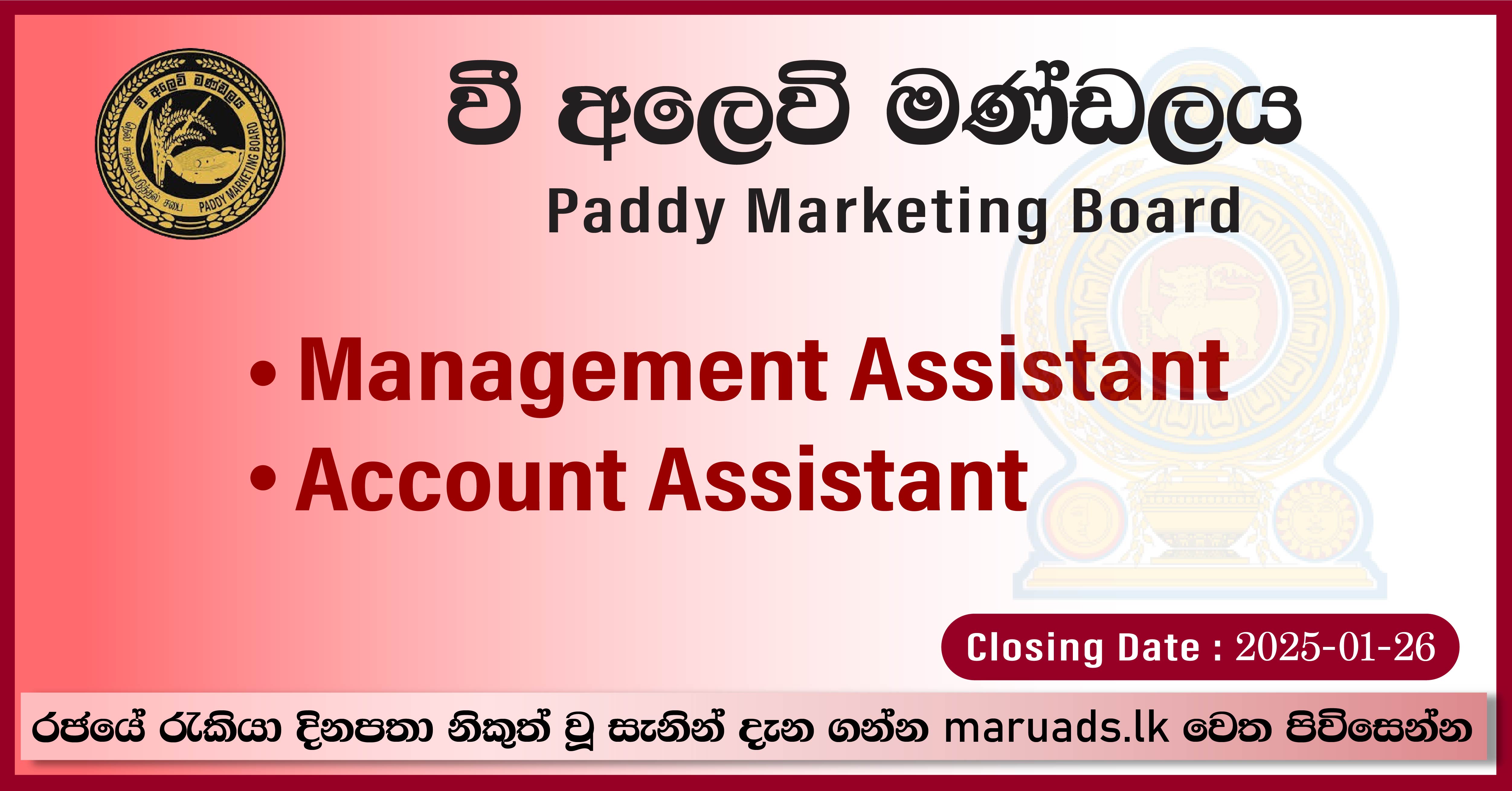 Management Assistant, Accounts Assistant - Paddy Marketing Board
